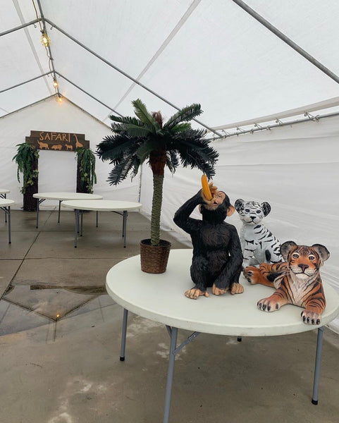 Texas Palm Tree – Platinum Prop House, Inc.